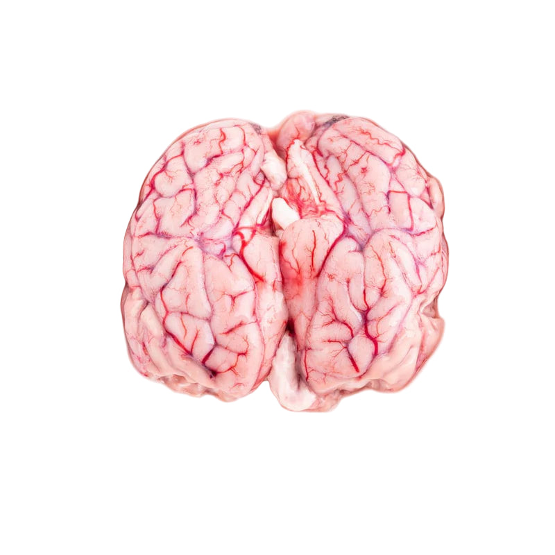 Halal Fresh Lamb Brain (Single Pack) – Fresh Meat Mart